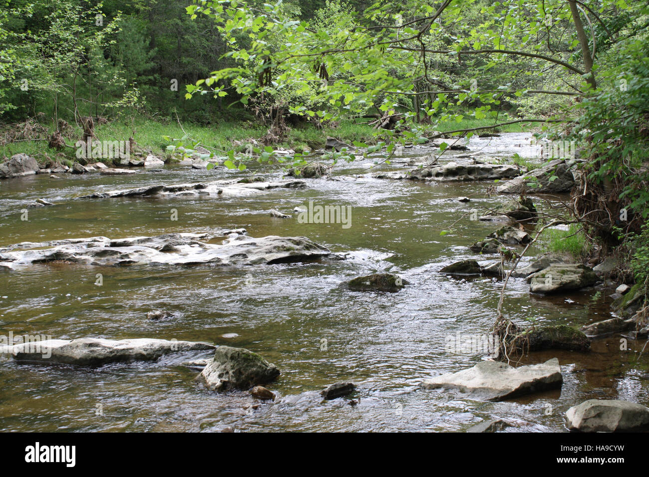 Wildlife specialists conduct surveys to measure the success of ...