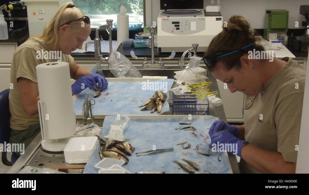 Necropsy hi-res stock photography and images - Alamy