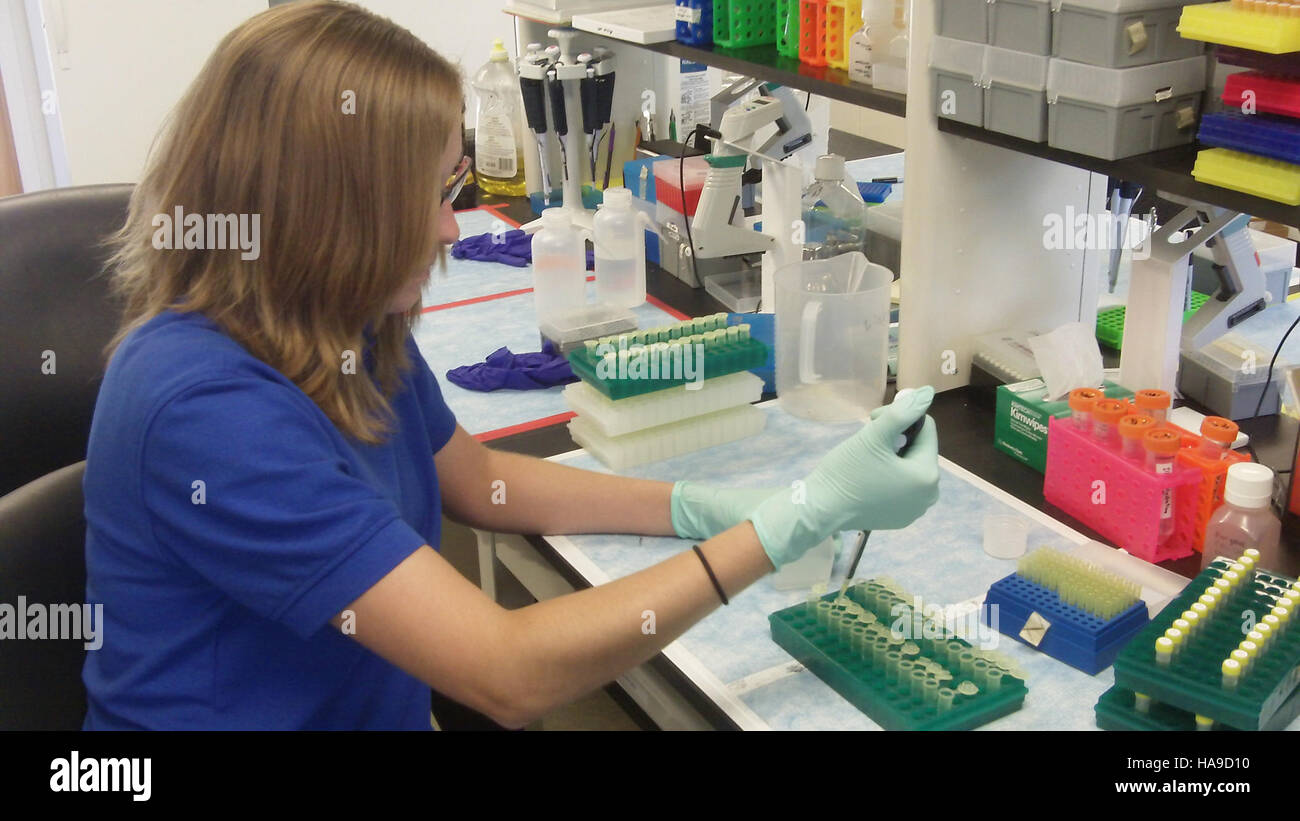 usfwsnortheast 5954411362 Preparing Samples for DNA Extraction Stock ...