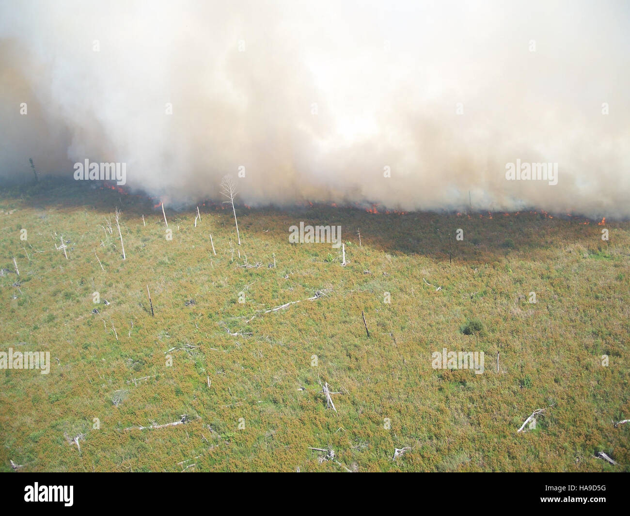 This image shows a smoke front approaching the Dismal Swamp National ...