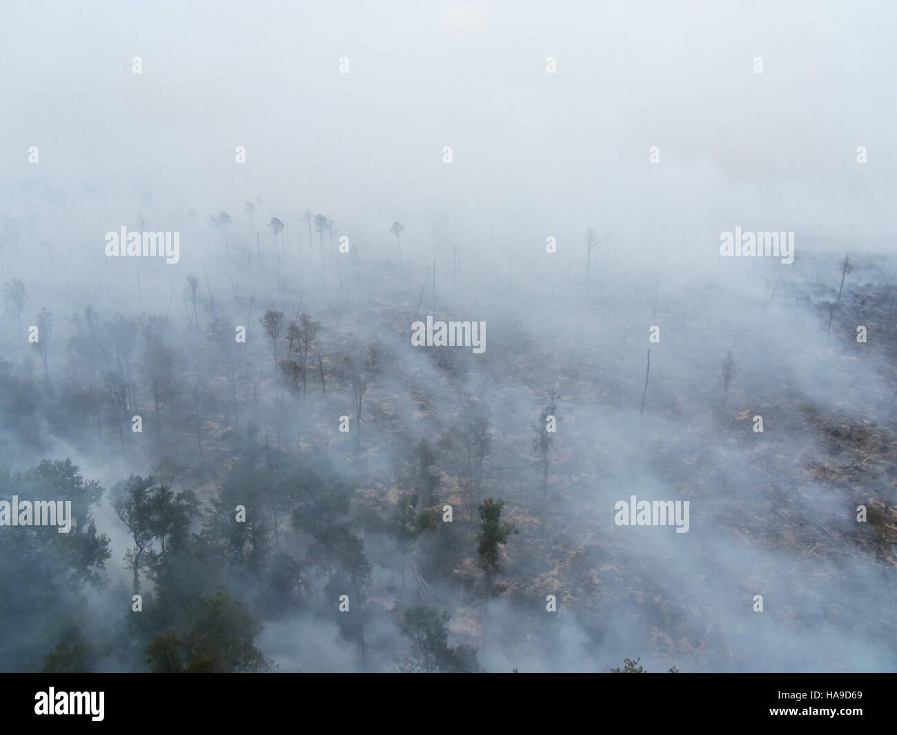 This eerie photo depicts ghostly smoke rising from a swamp in the ...