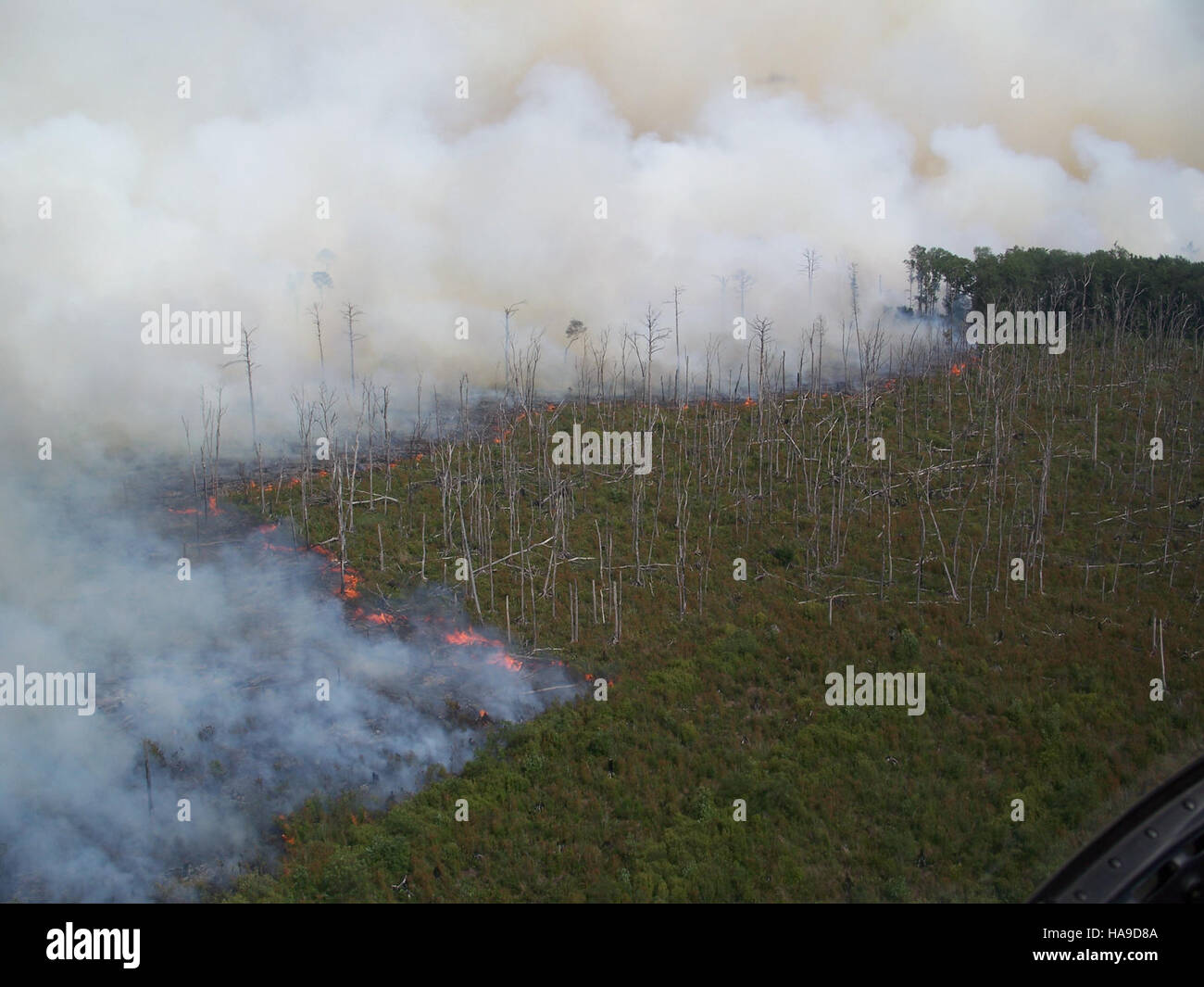 usfwsnortheast 6058138433 Burn over burn Stock Photo - Alamy