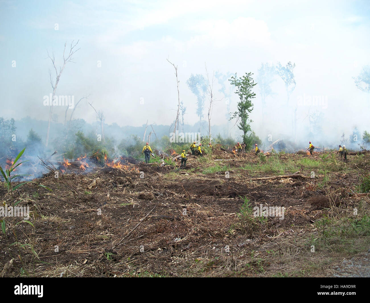 Controlled burns are used as a management tool in national parks to ...