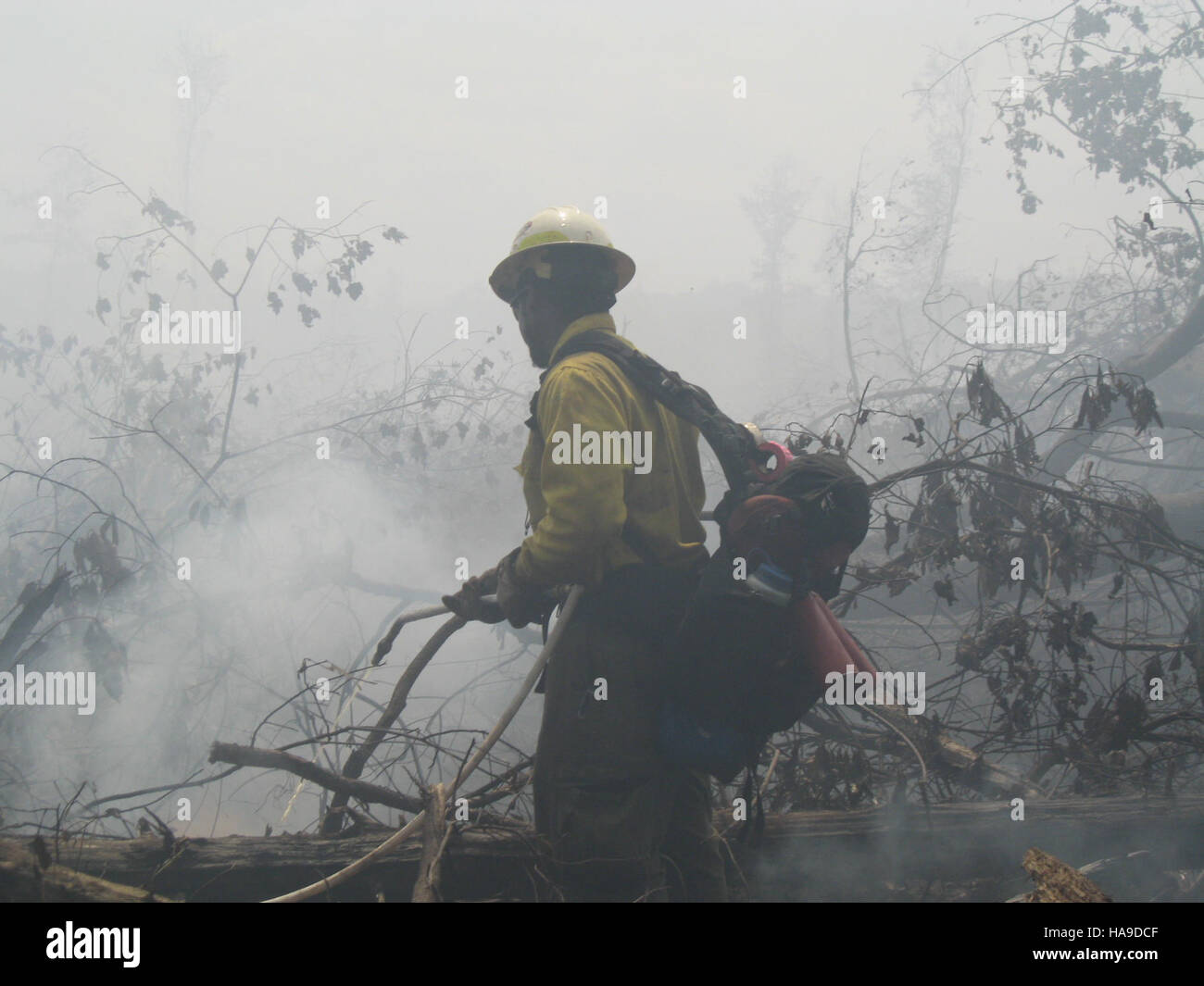 The Hot Shot spray image captures a wildlife management tool used by ...