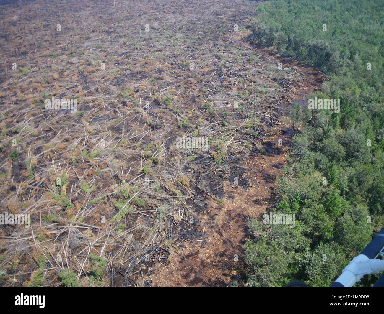 usfwsnortheast 6095632919 Fire edge post Irene Stock Photo - Alamy