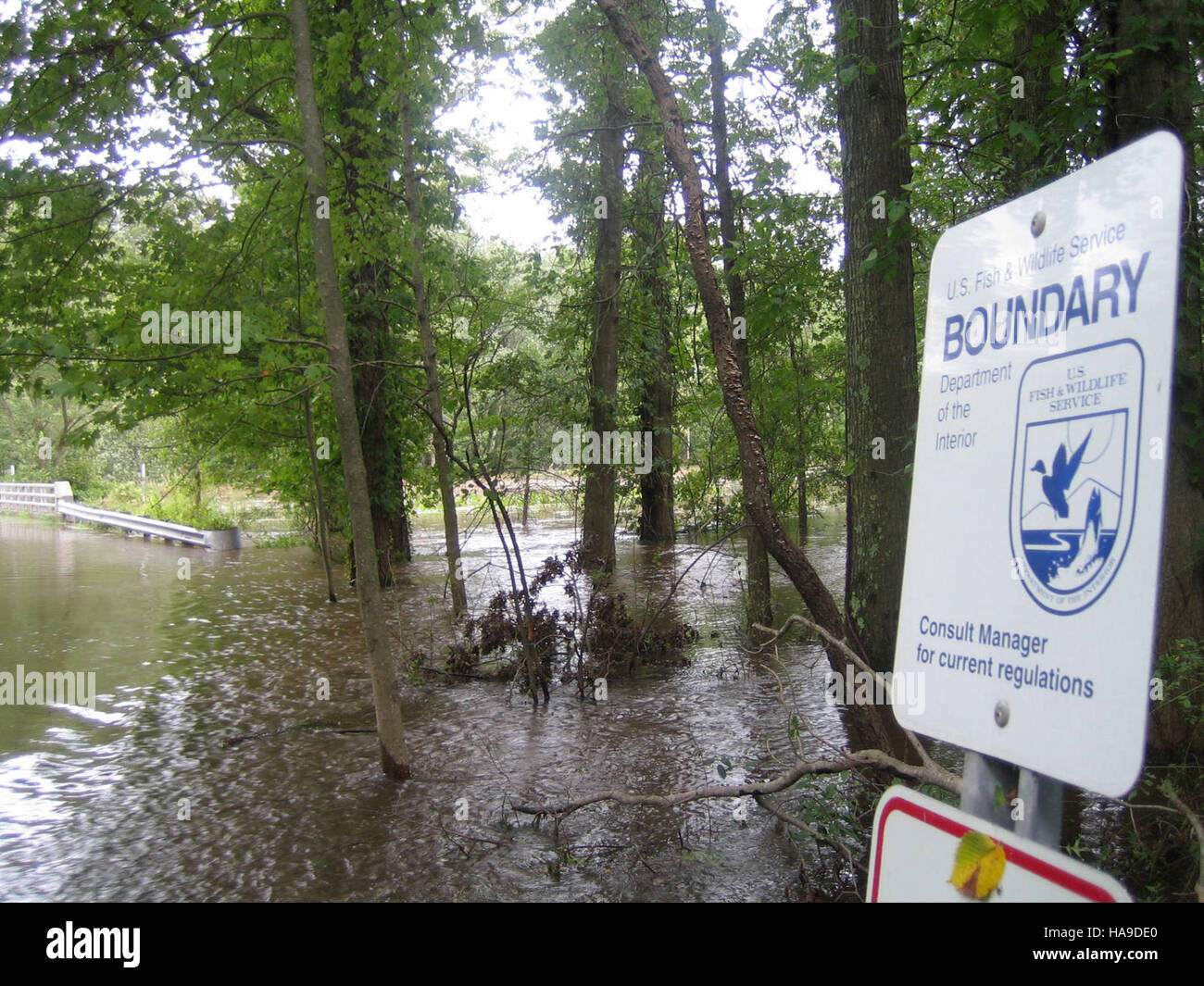 The Great Swamp National Park in New Jersey faces seasonal flooding ...