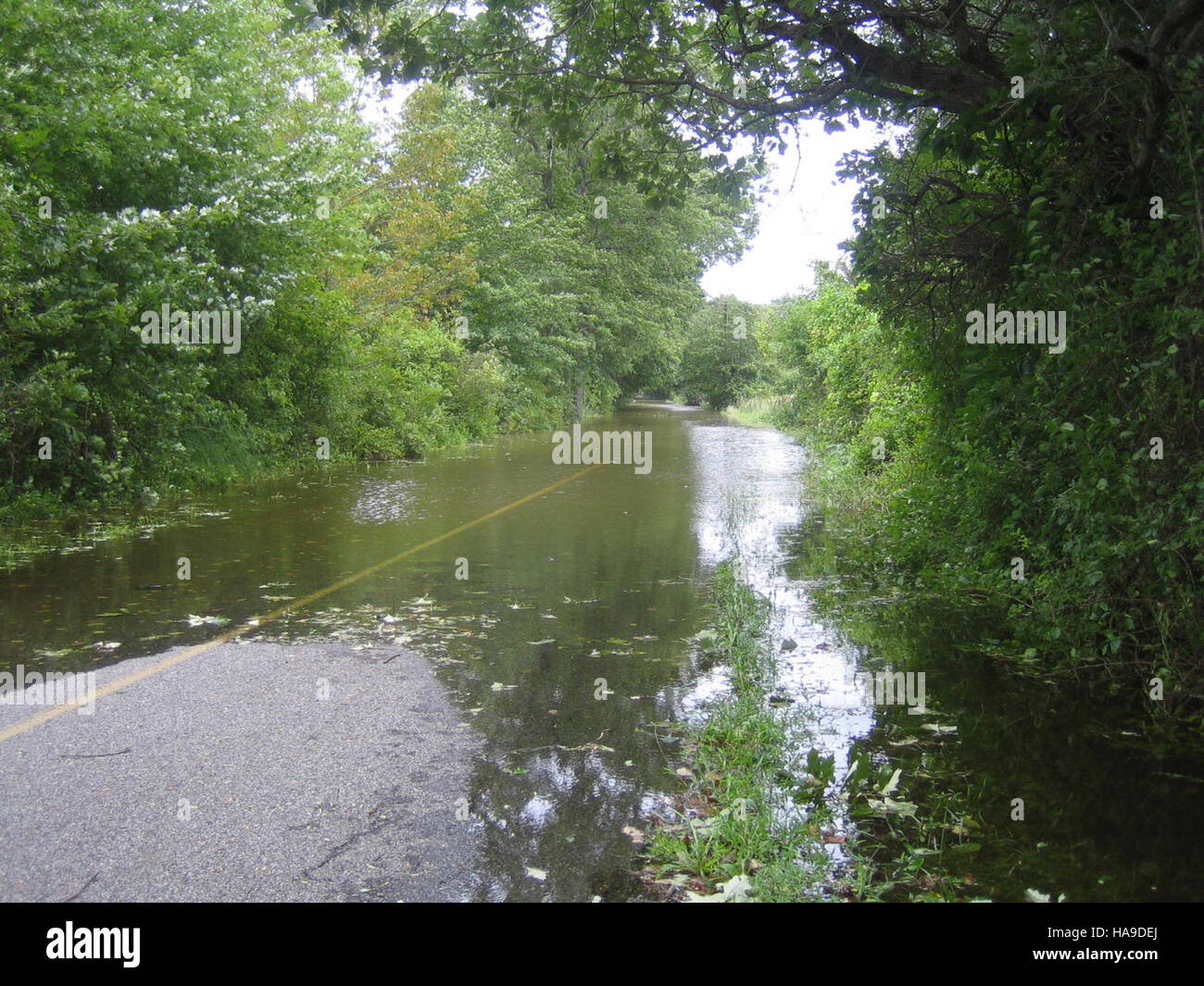 A flooded road at Great Swamp National Park following heavy rainfall ...