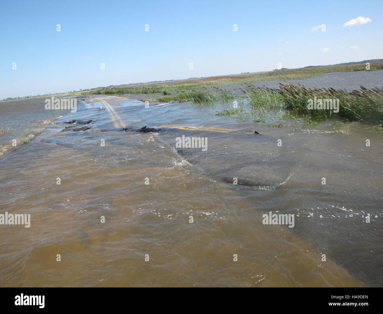 A flooded road in Prime Hook National Park highlights the challenges of ...