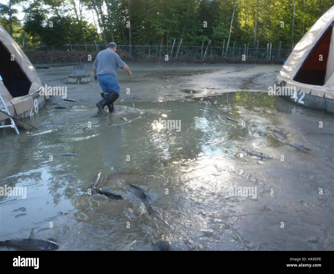 Flooding at the White River National Fish Hatchery has impacted the ...