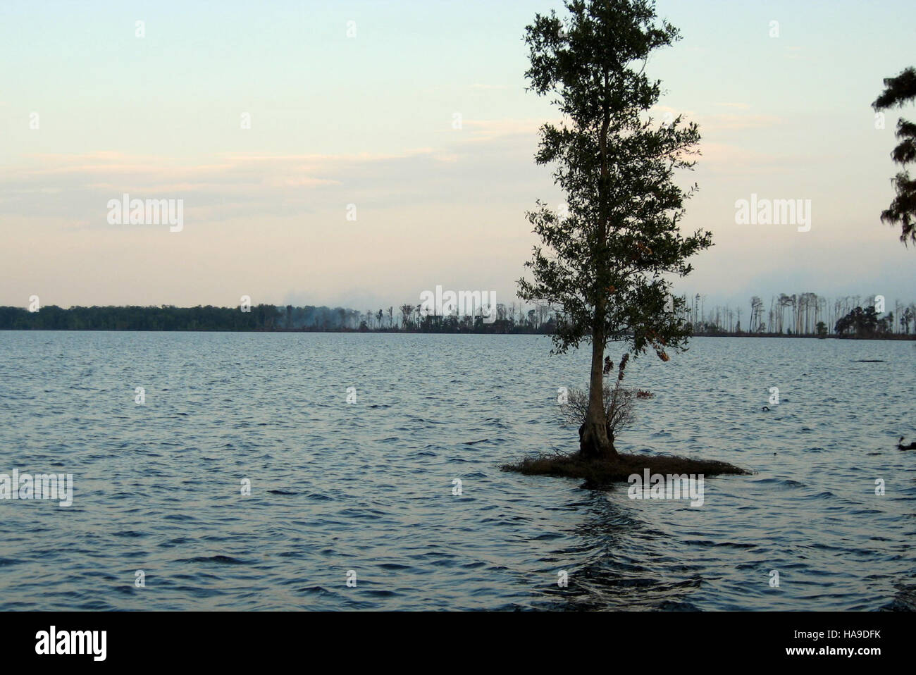 Lake Drummond in Great Dismal Swamp National Park is shown with smoke ...