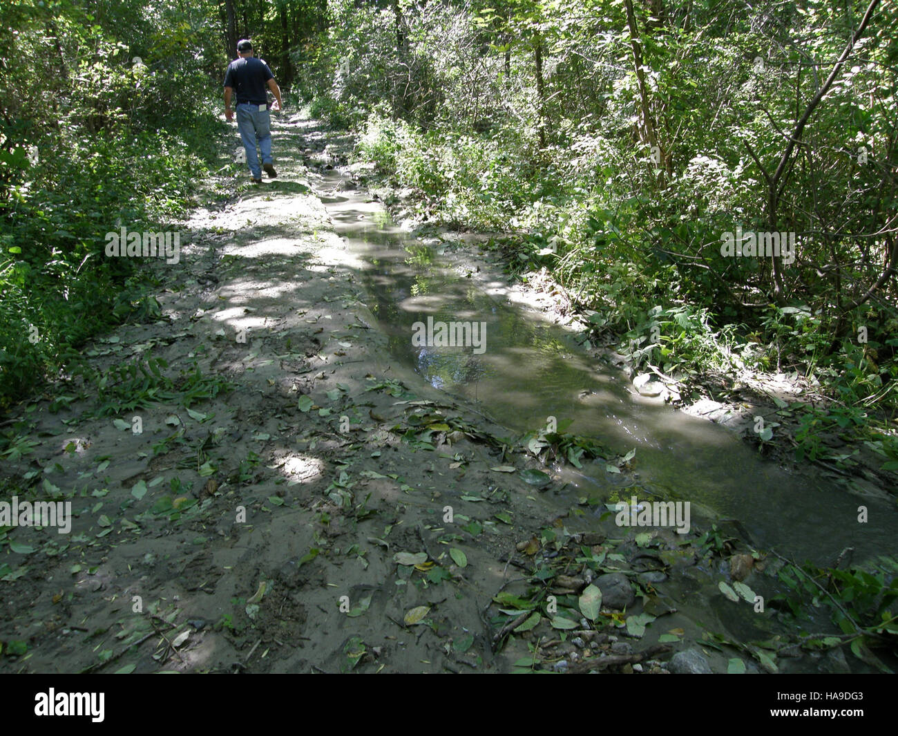 Hurricane damage at Wallkill River National Wildlife Refuge in 2011 ...