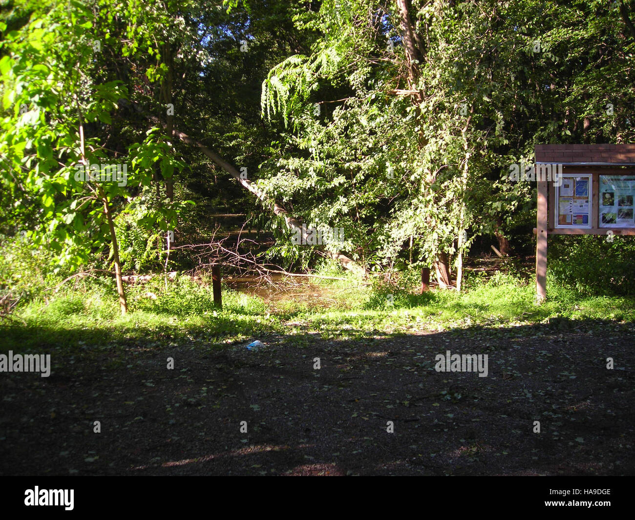 usfwsnortheast 6100928144 Hurricane Damage at Wallkill River National ...