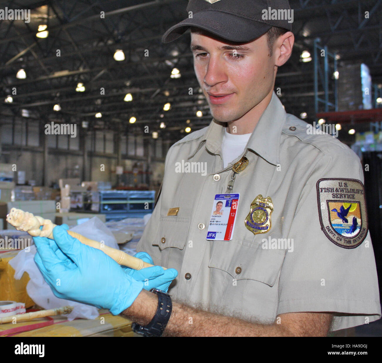 An inspector examines an imported statue at a National Park, ensuring ...