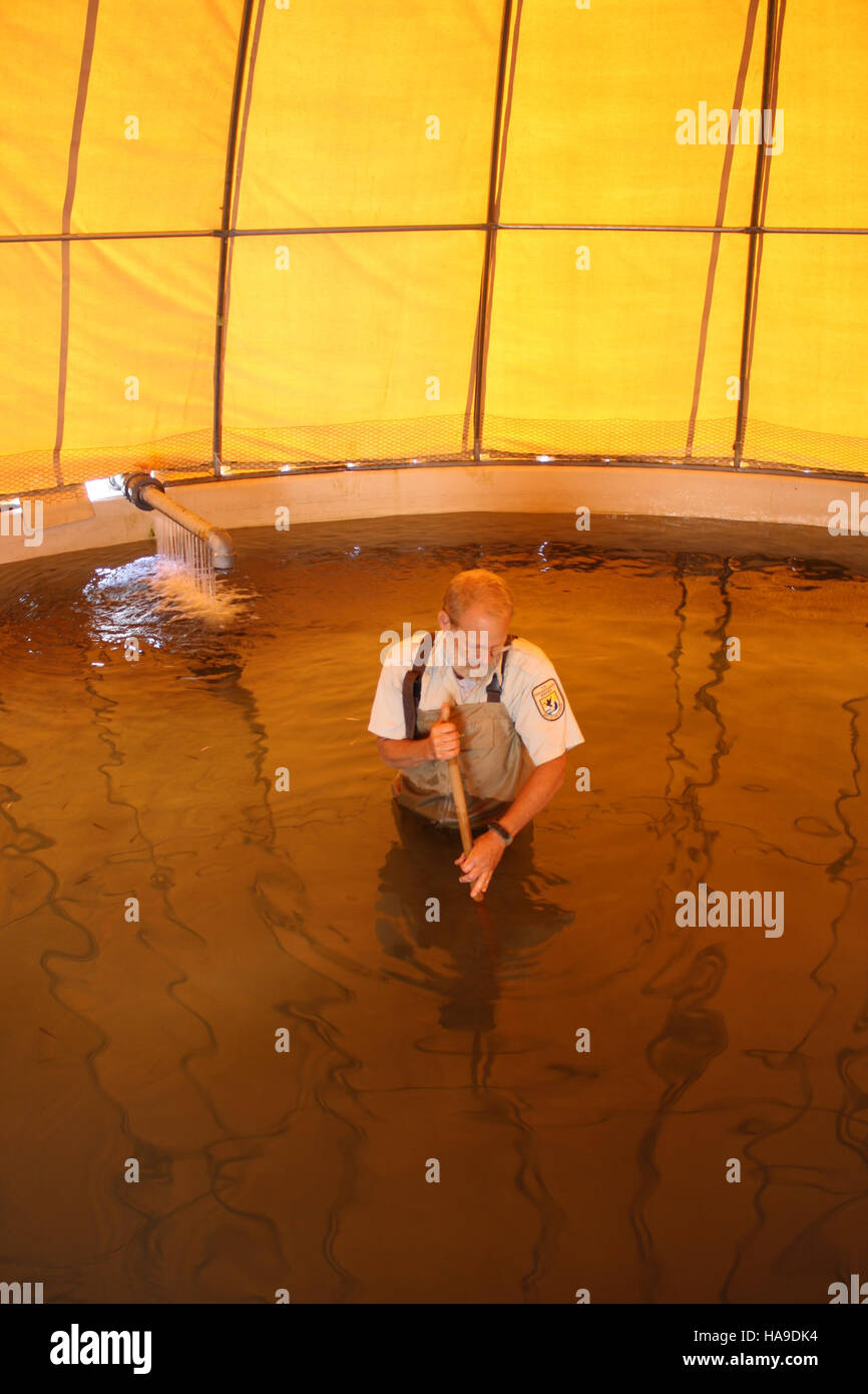 Usfws biologist hi-res stock photography and images - Alamy