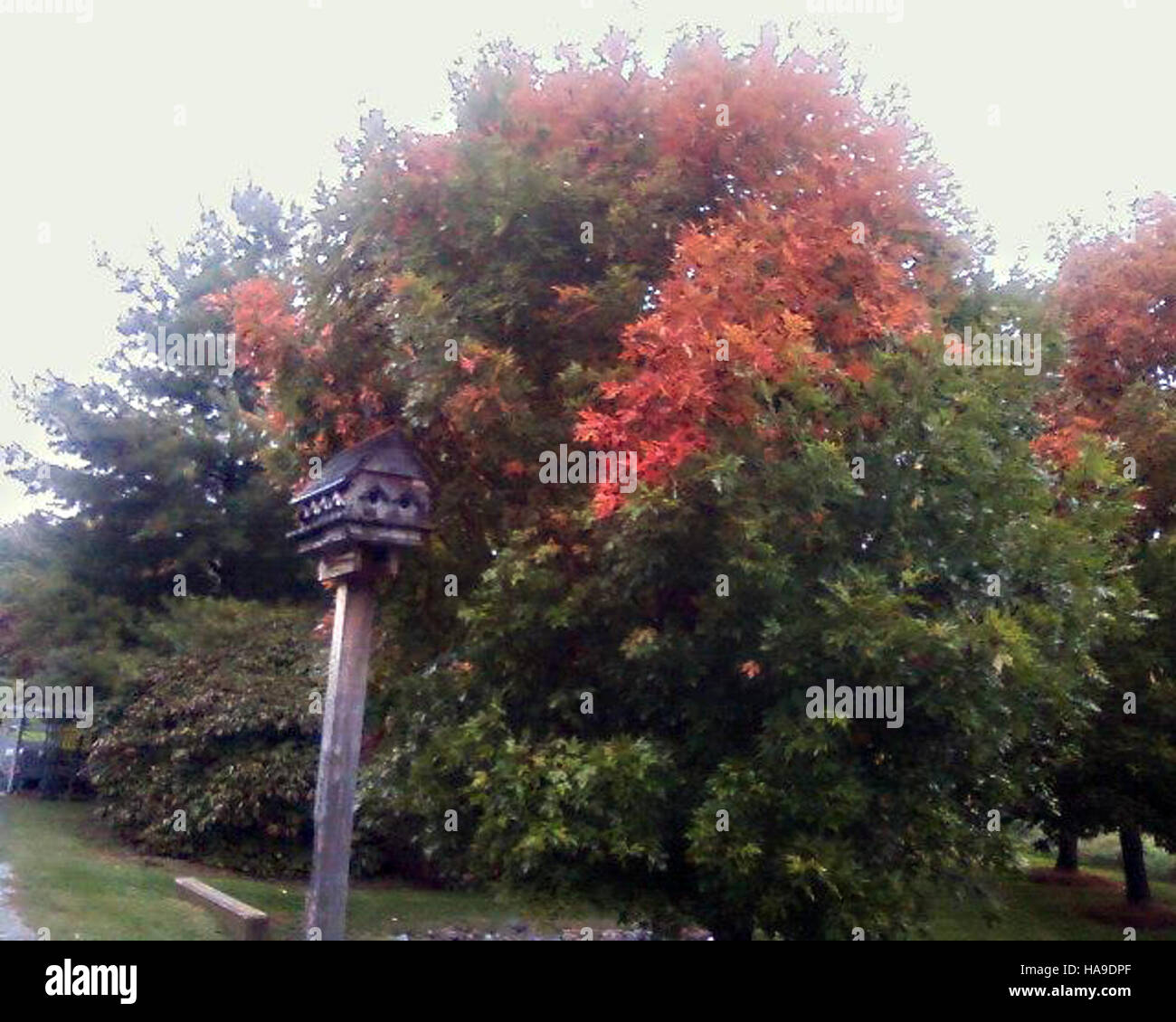 Wv nature hi-res stock photography and images - Alamy
