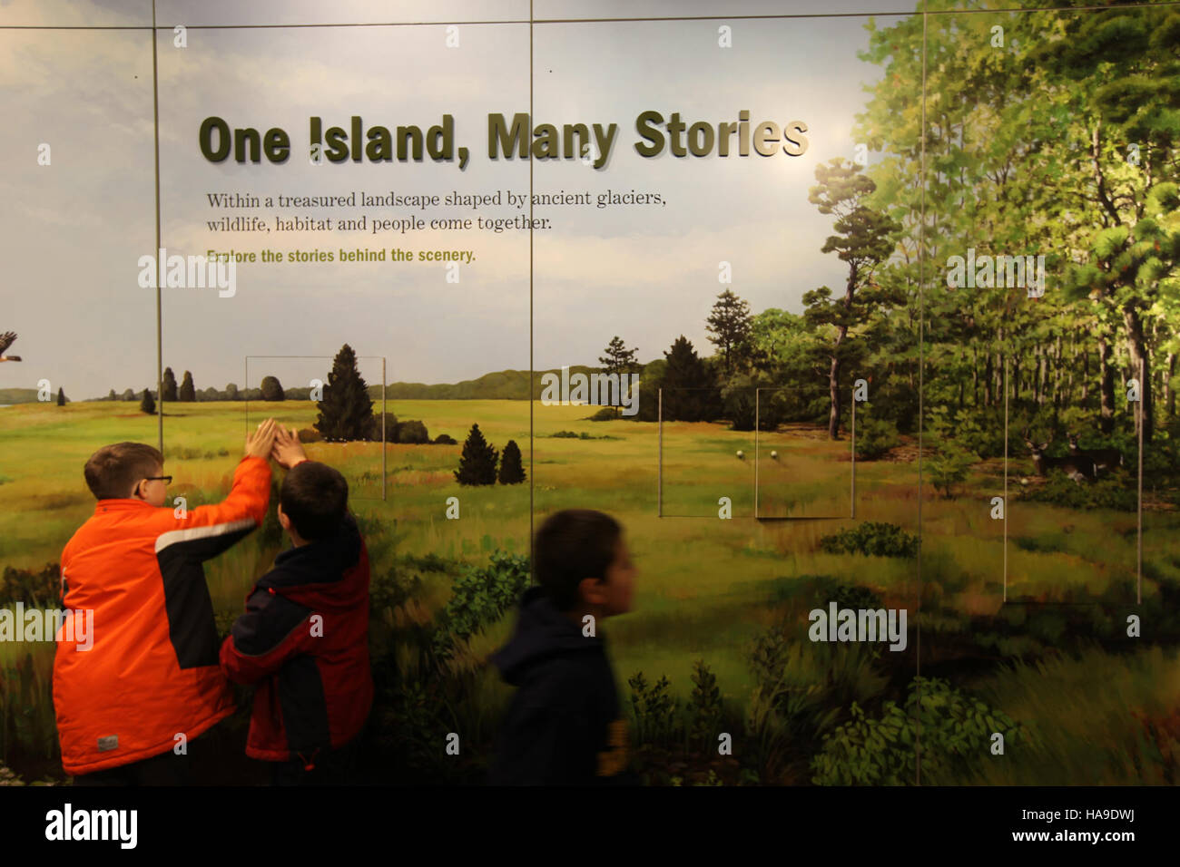 Children interact with nature at a National Park, participating in ...