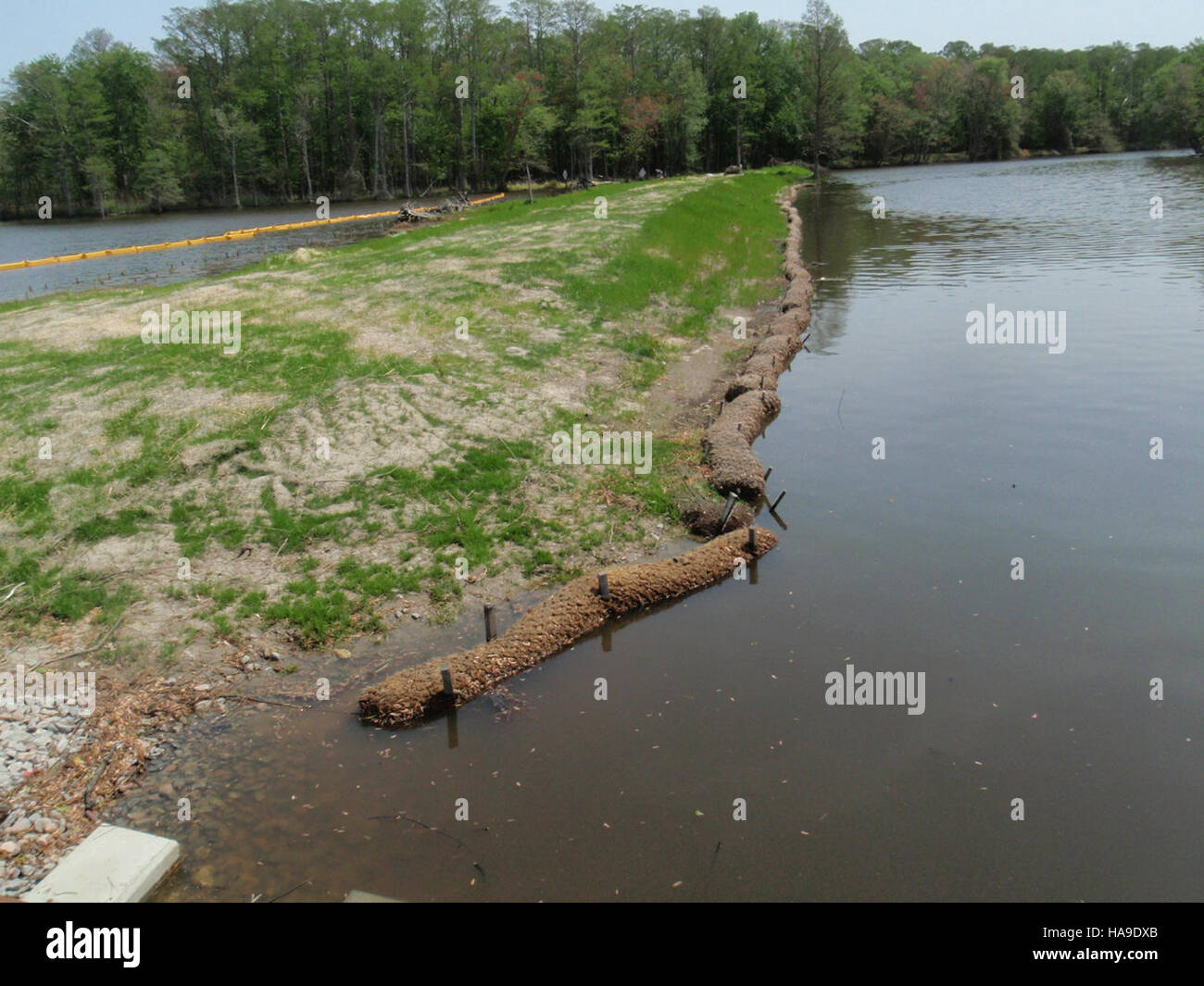 The berm between the Asheville Bridge Canal and Lake Tecumseh serves as ...