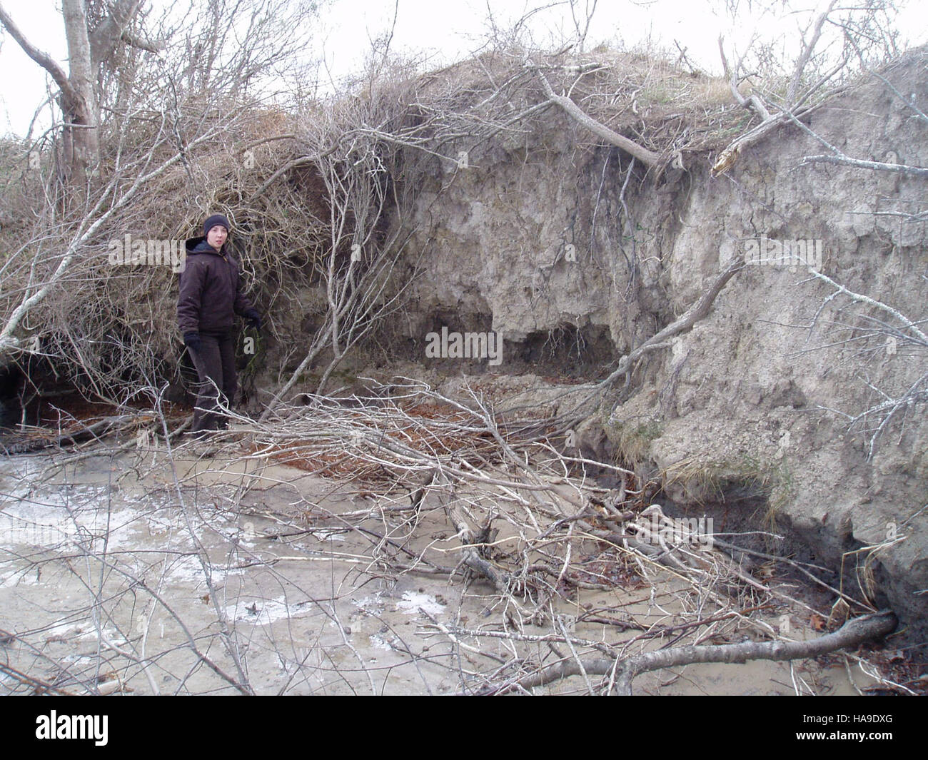 usfwsnortheast 6425011659 Erosion along the berm at Lake Tecumseh Stock ...