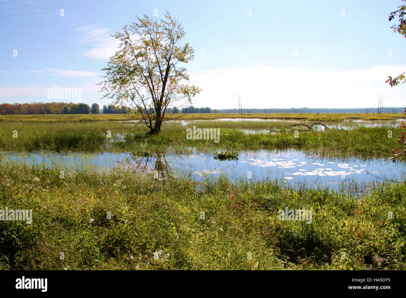 The Cranberry Pool in the National Park, captured in 2011, highlights ...