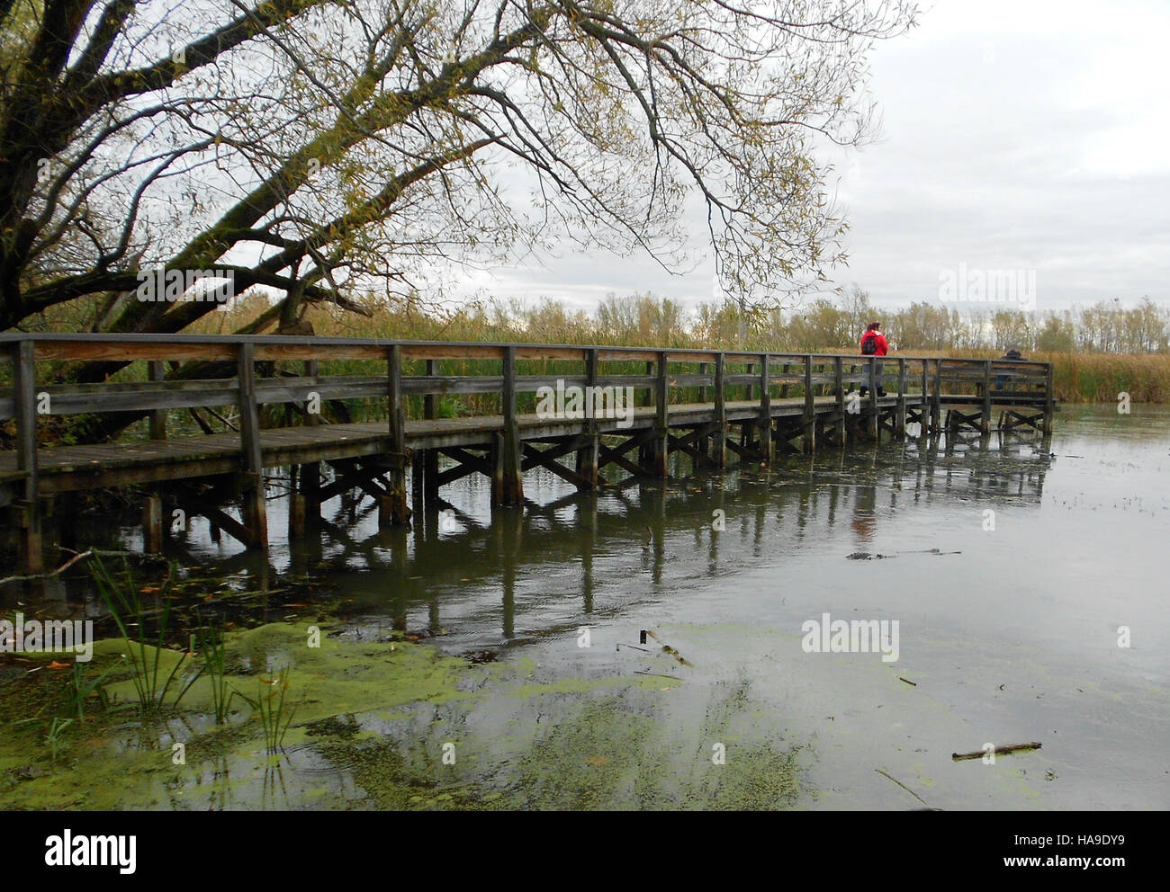 The Tifft Nature Preserve features an observation dock that allows ...