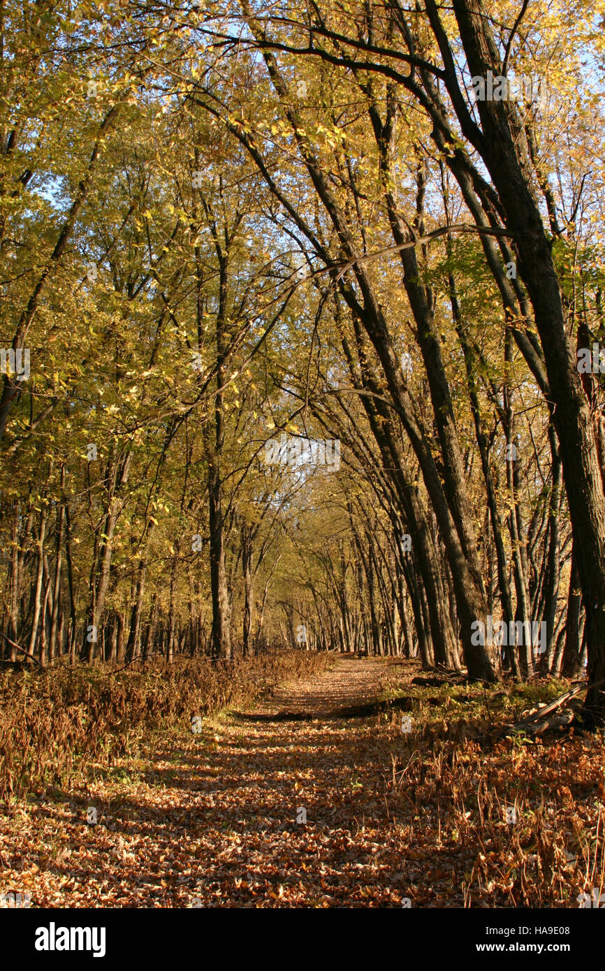 Jeep Trail in Vermont’s National Park showcases the beauty of the ...