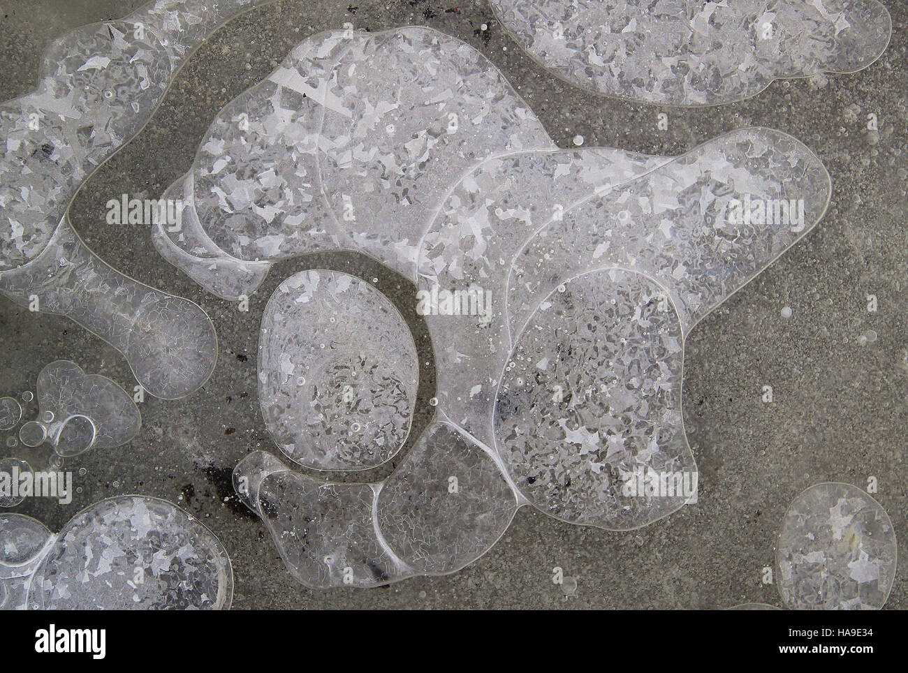 A stunning display of ice crystals in a national park, showcasing the ...