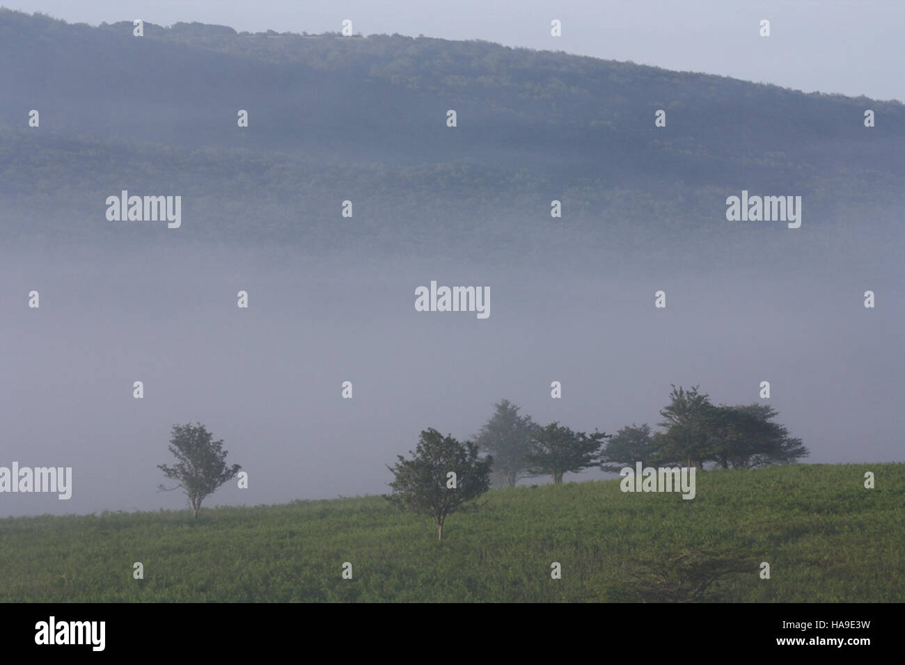 usfwsnortheast 6803224667 Middle Valley Mist Stock Photo - Alamy