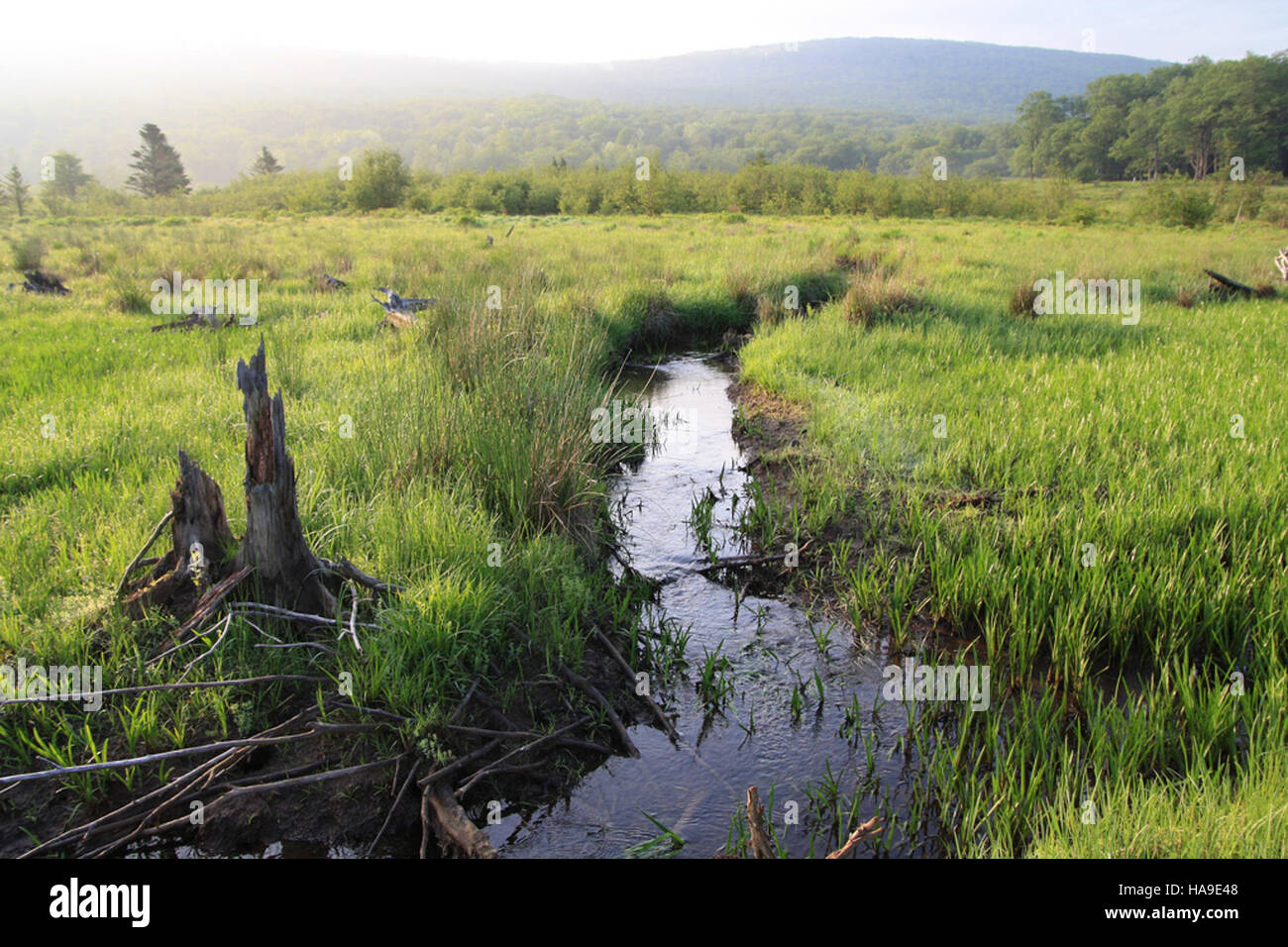 The Little Blackwater River Headwaters is located in a National Park ...