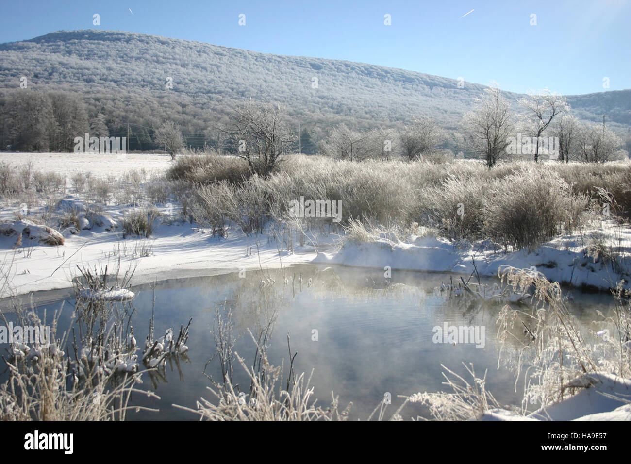 This winter scene captures the stillness of a pond within a national ...