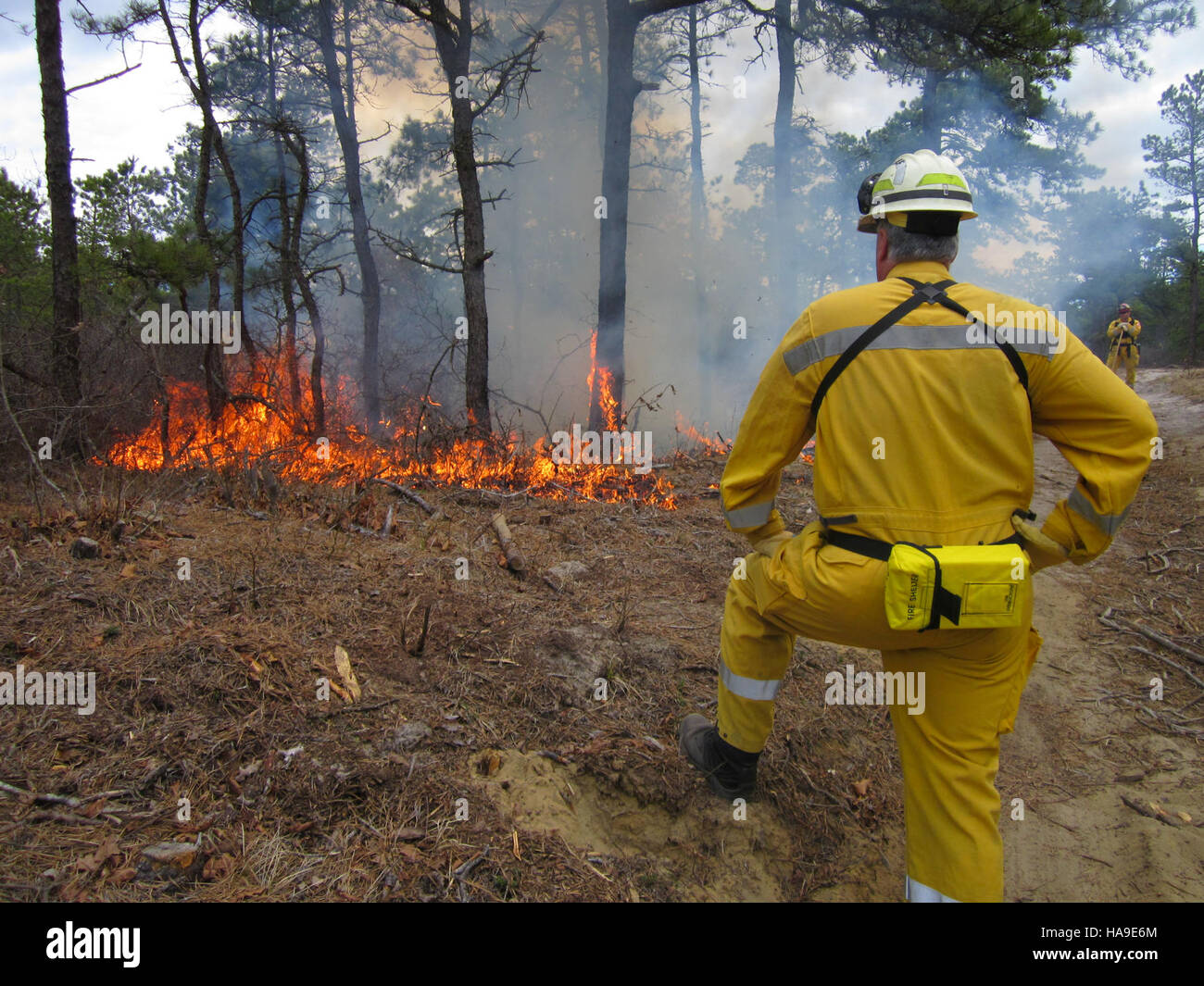 A watchful eye over protected wildlife and habitats is essential in ...
