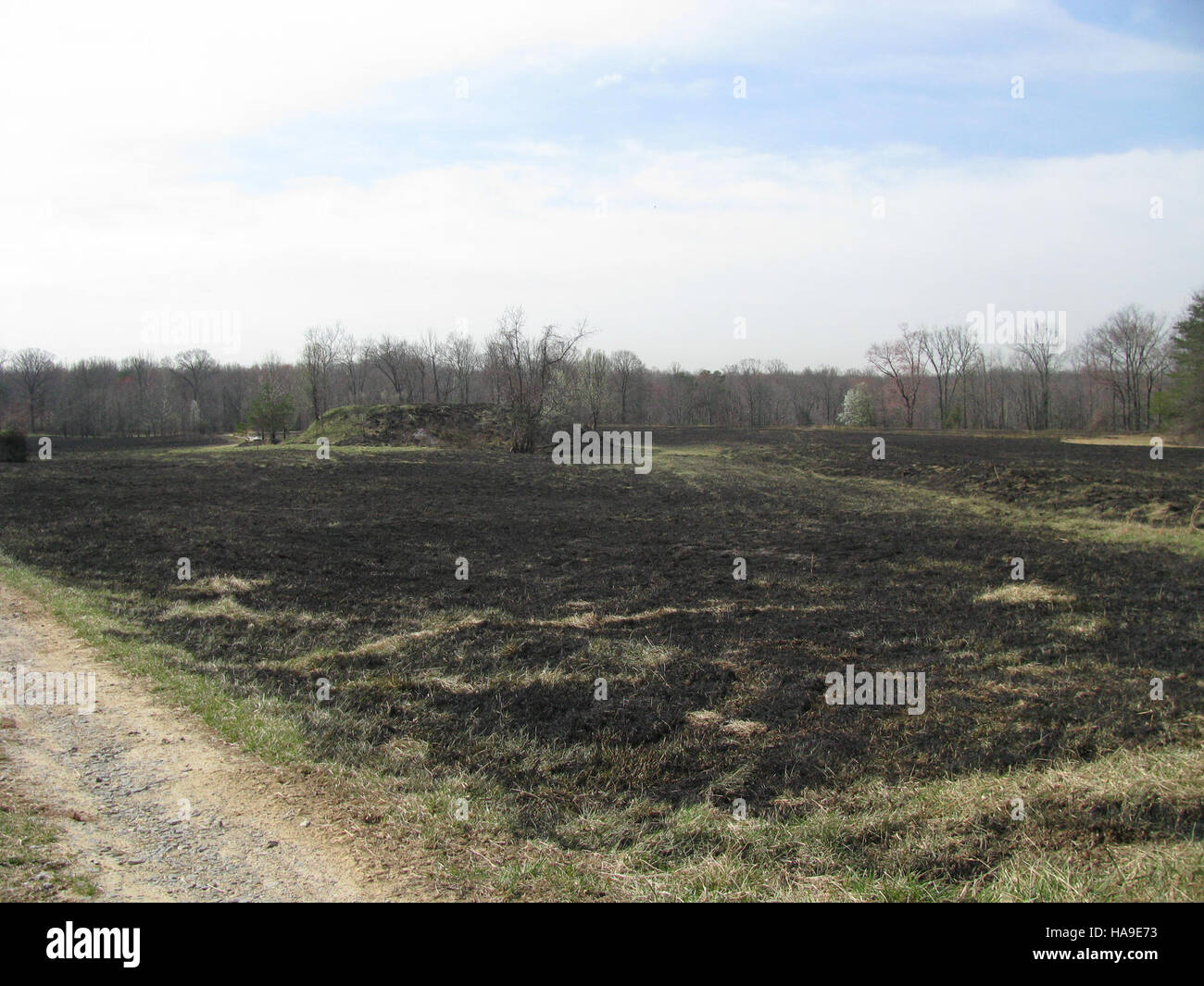 U s forest service controlled burn hi-res stock photography and images ...
