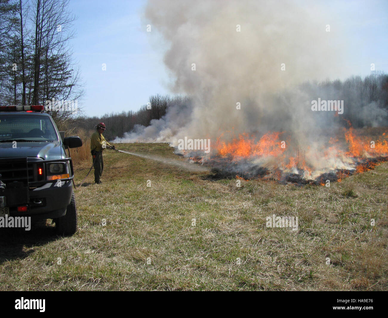 A significant conservation effort in the Northeast region, emphasizing ...