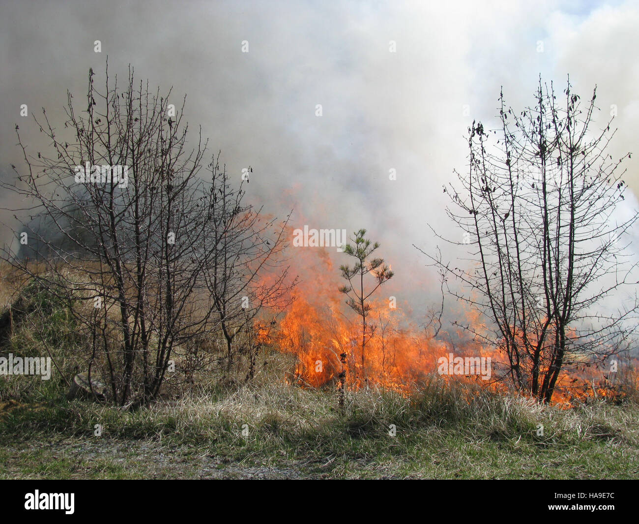 A controlled burn conducted by the U.S. Fish and Wildlife Service helps ...