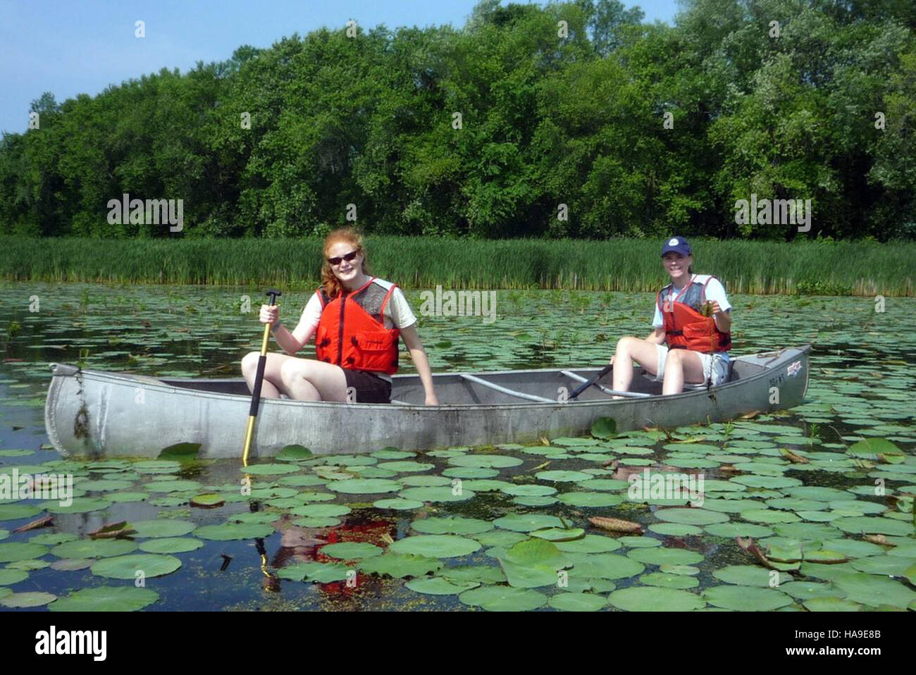 This image demonstrates efforts to remove invasive species in a ...