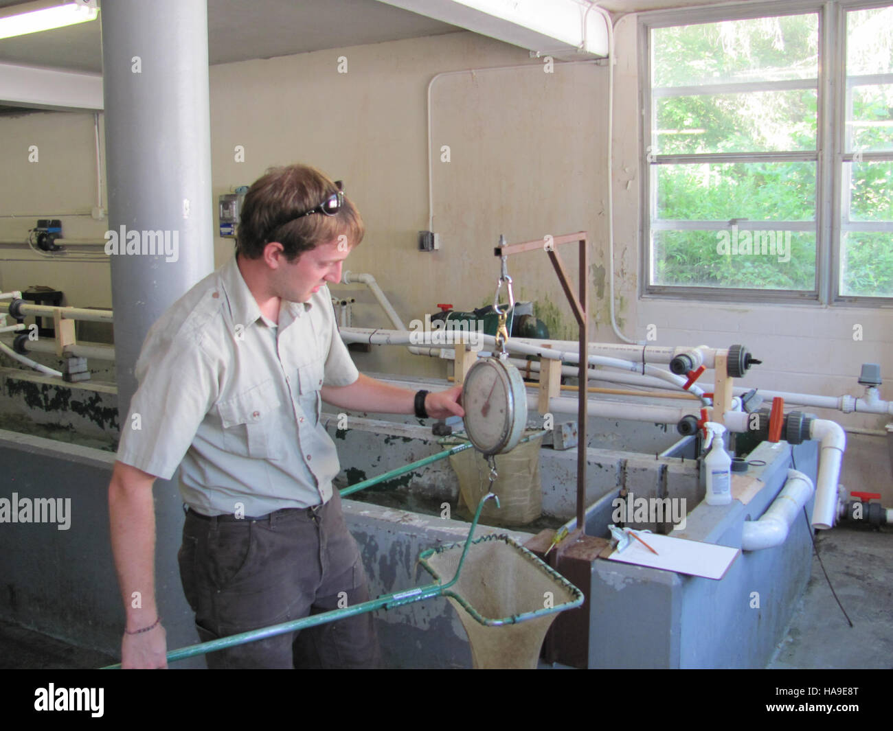 U.S. Fish and Wildlife Service conducts fieldwork to monitor wildlife ...