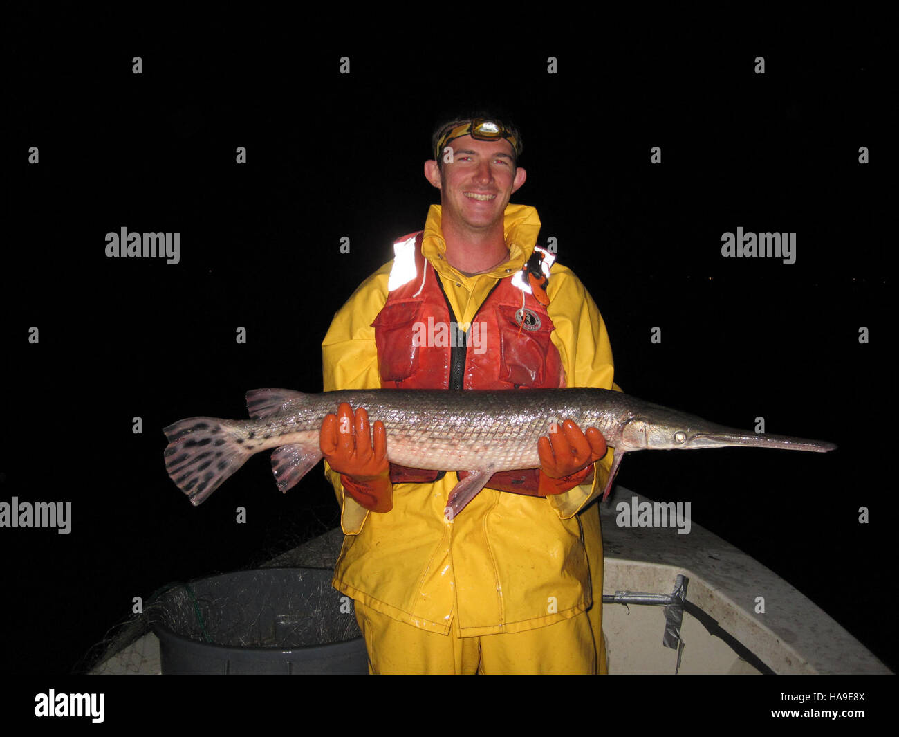 Slow moving fish hi-res stock photography and images - Alamy