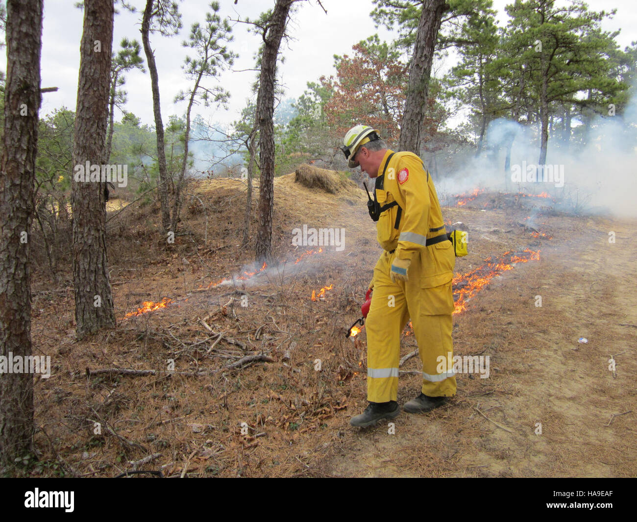 Chief Baker conducts a controlled burn to manage ecosystems and promote ...