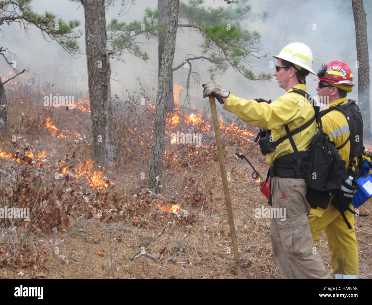Fire professionals monitor controlled burns in the Northeast region to ...