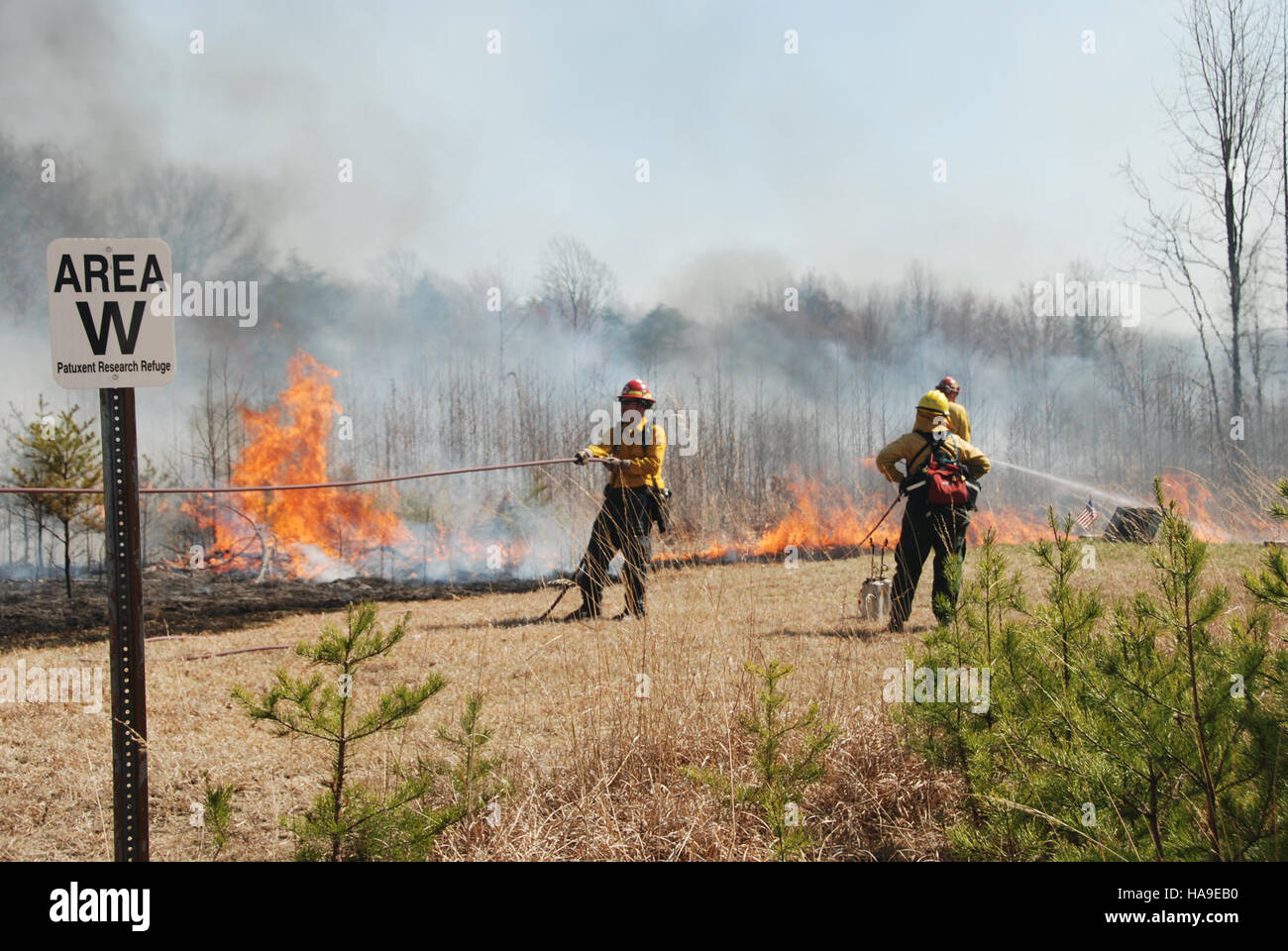 Firefighters manage wildland fires at a national park, utilizing fire ...
