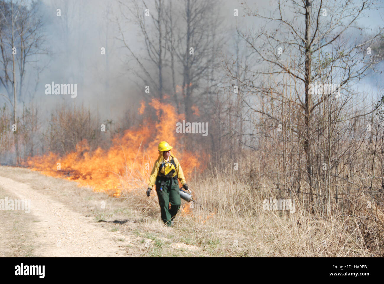 This project, aimed at restoring fire-dependent ecosystems, takes place ...