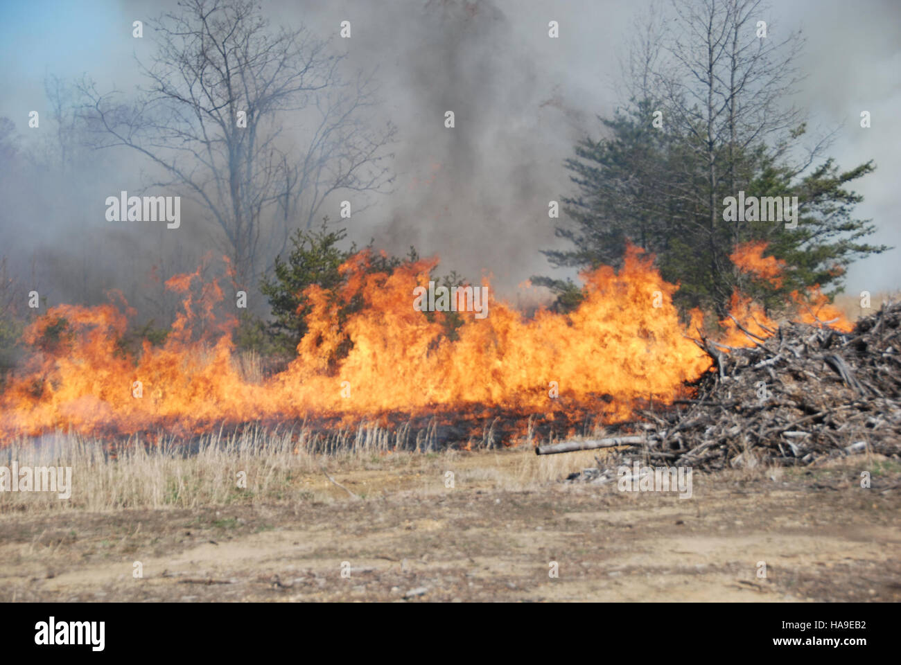 usfwsnortheast 7087305563 Patuxent Research Refuge Controlled Burn ...