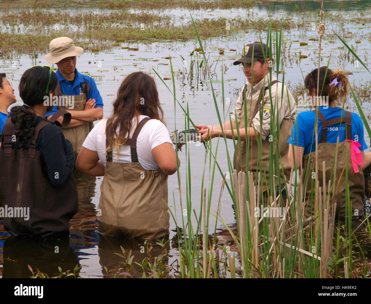 The U.S. Fish and Wildlife Service Biology Unit focuses on wildlife ...