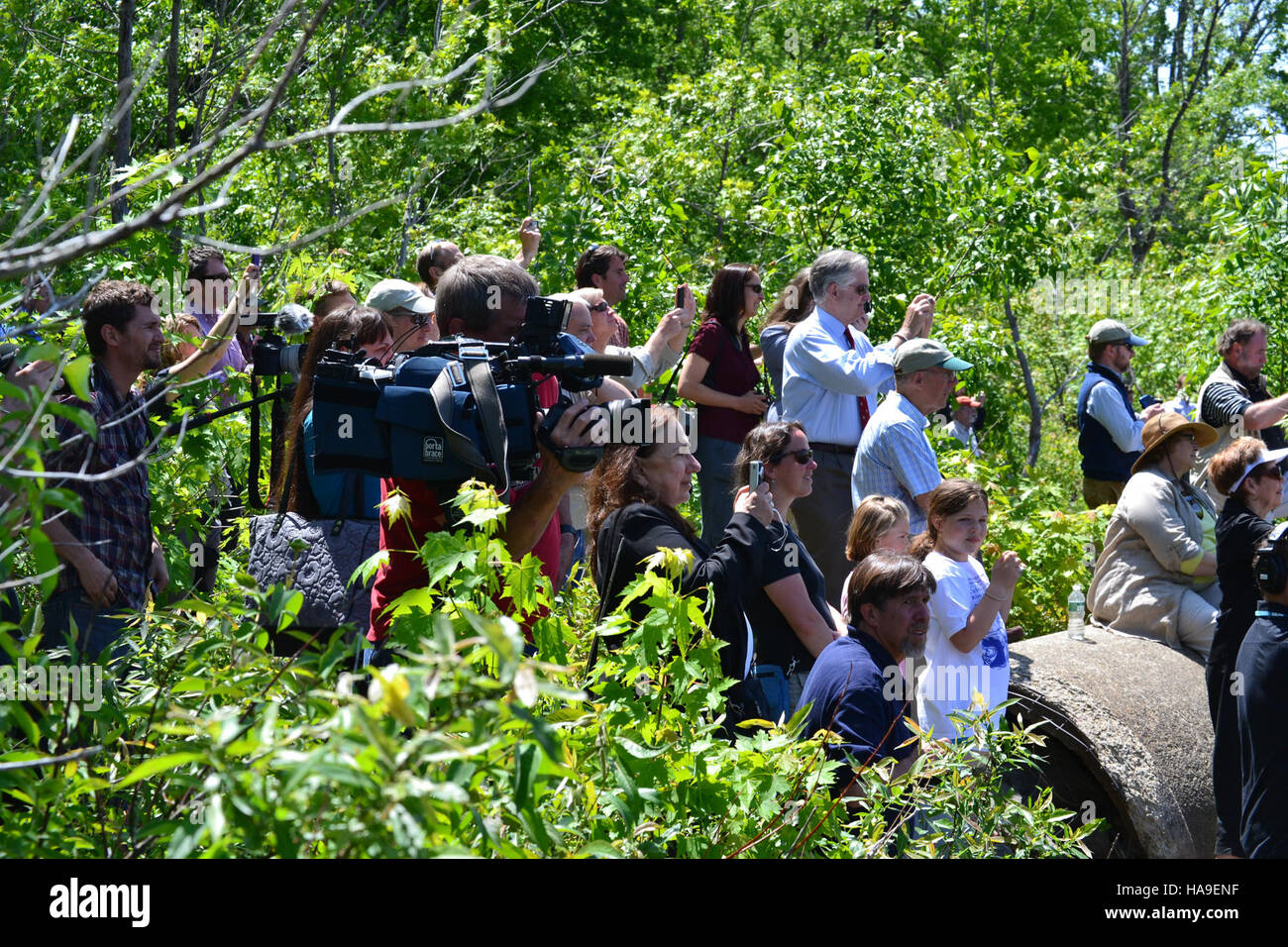 A large crowd gathers at an event held by the U.S. Fish and Wildlife ...