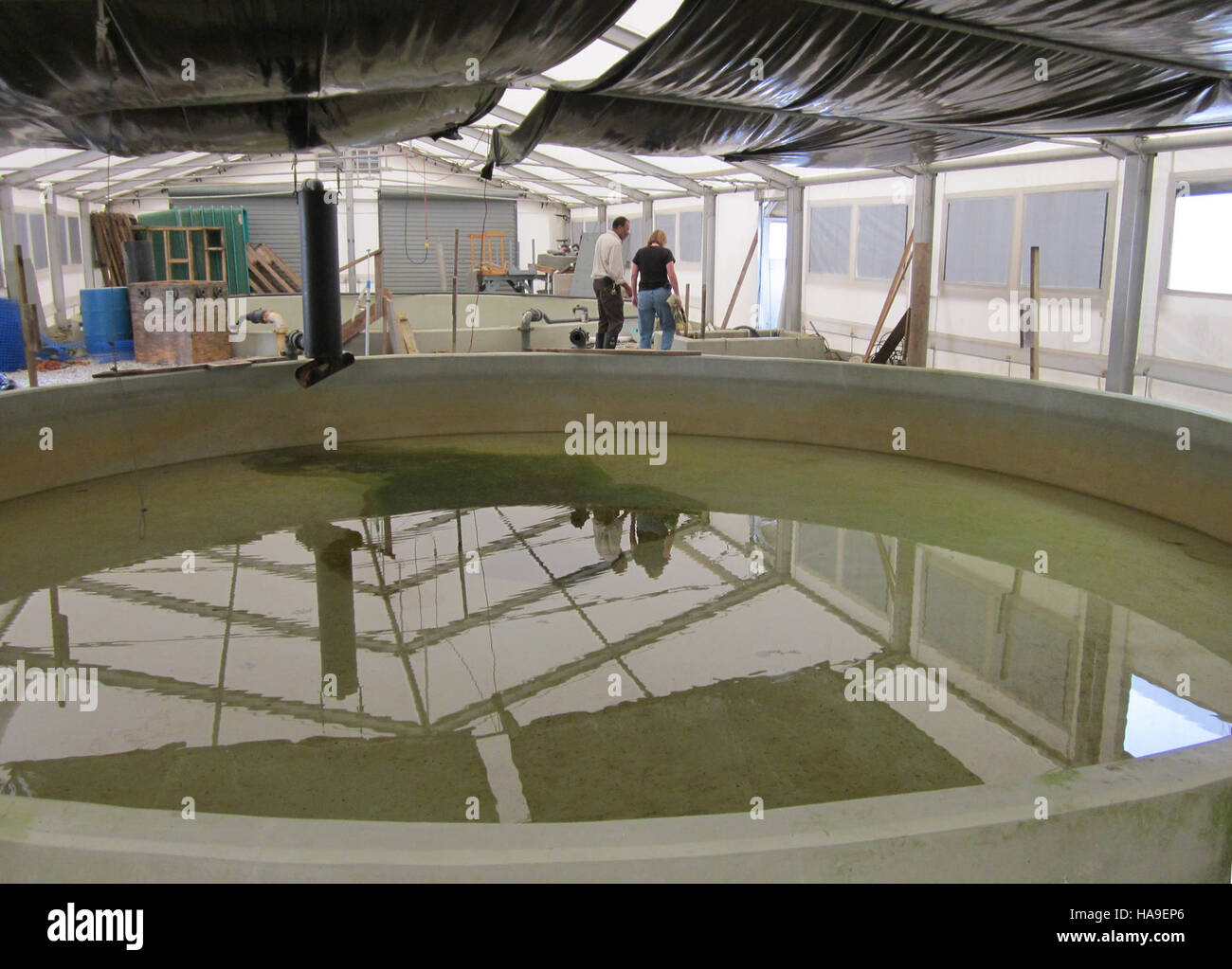 A control box used for managing shad tank spawning at a wildlife ...