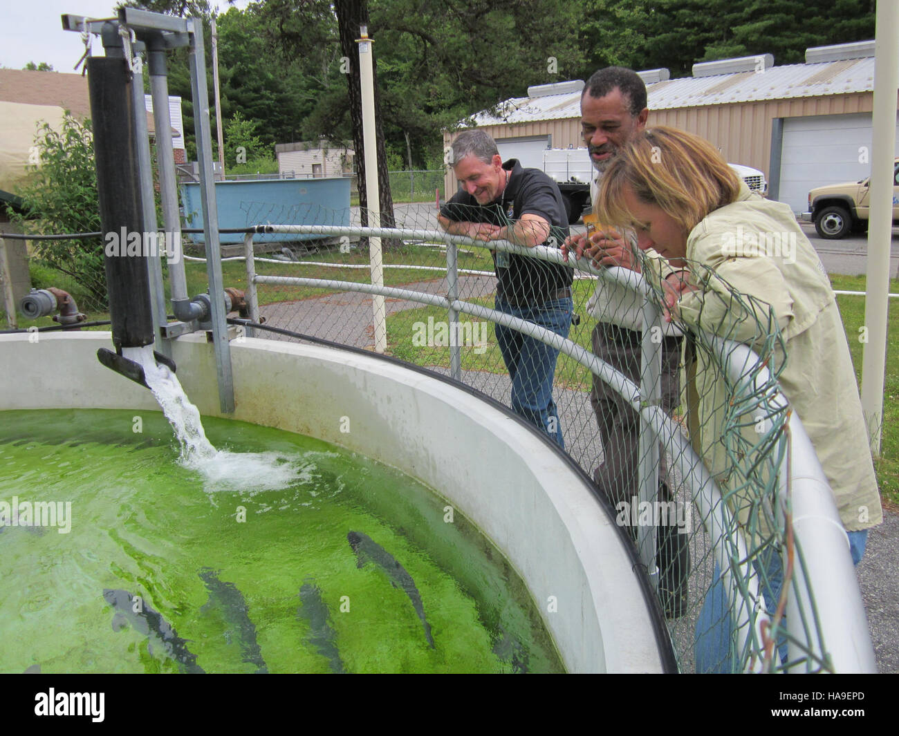 The Atlantic Salmon Viewing Pool, managed by the USFWS Northeast ...