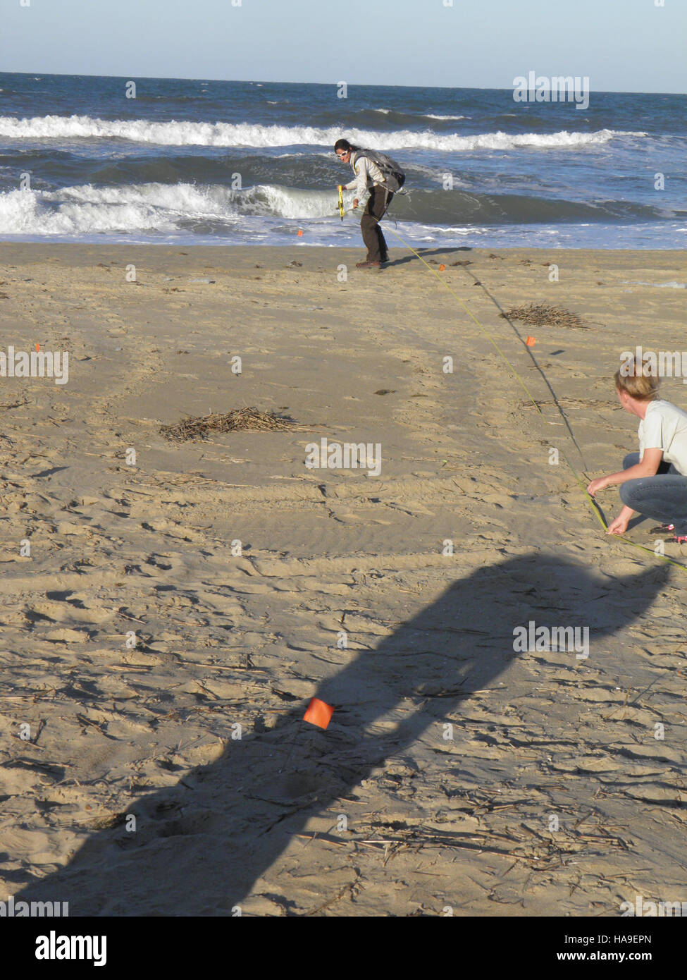 U.S. Fish and Wildlife Service personnel measure animal tracks to ...