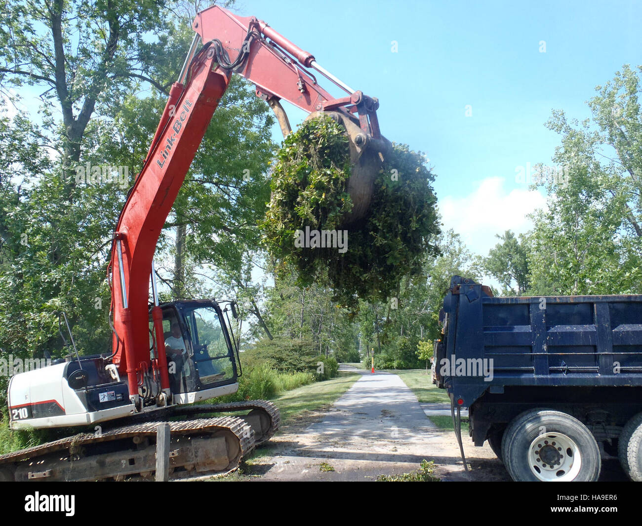The U.S. Fish and Wildlife Service manages the invasive water chestnut ...