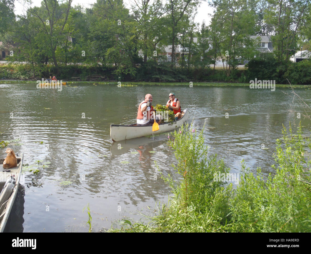 Volunteers assist in managing water chestnut, an invasive species, in U ...