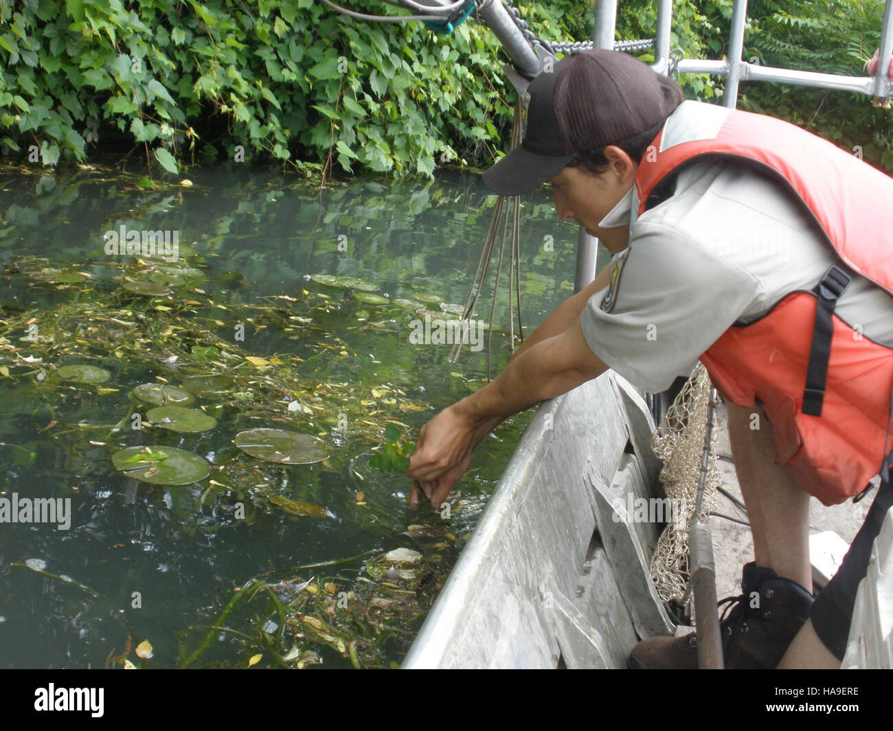 The U.S. Fish and Wildlife Service is conducting early detection of ...