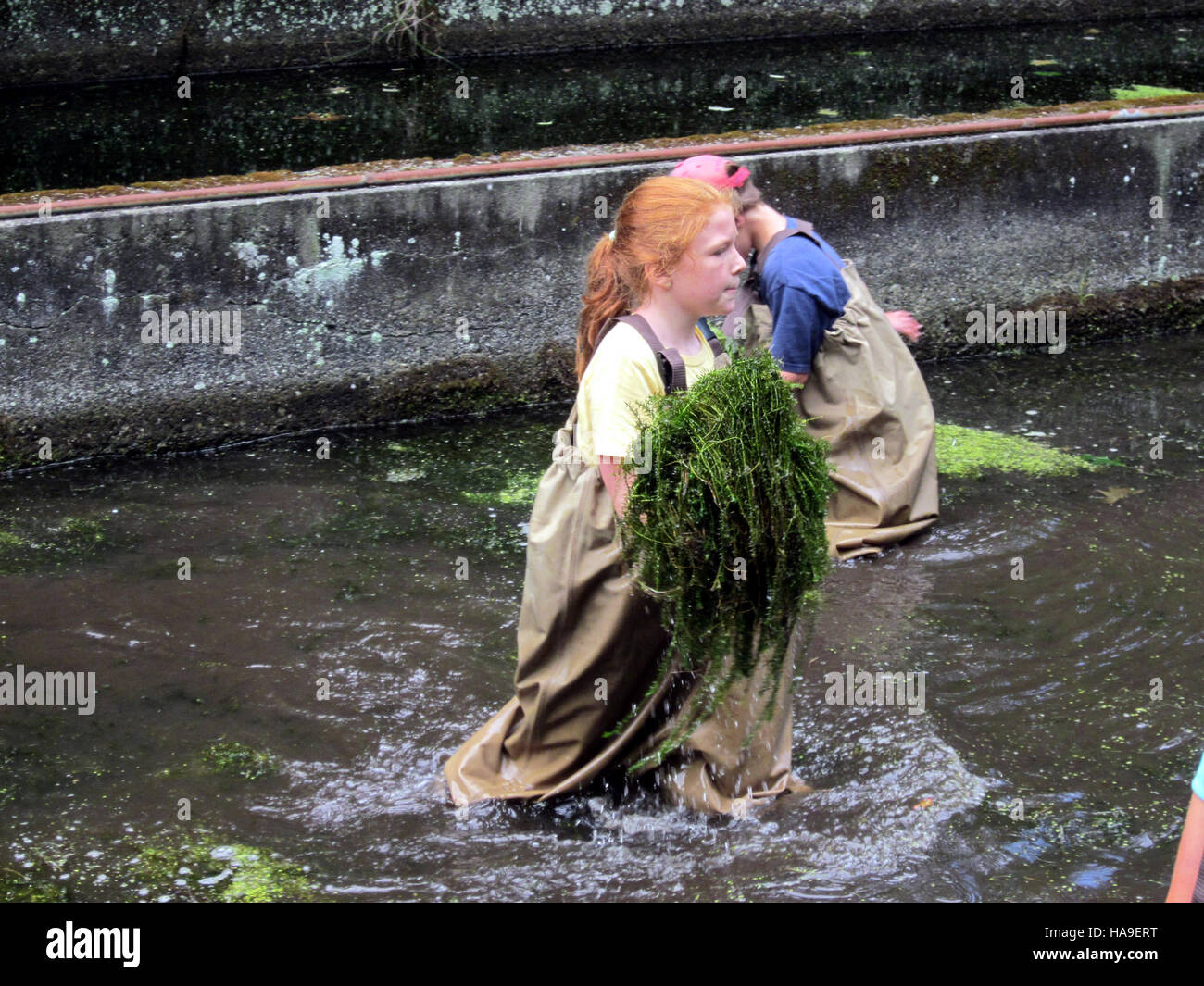 National parks wildlife service hi-res stock photography and images - Alamy